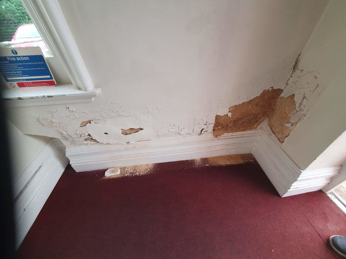 Damp Treatment in Hertfordshire | Premier 1st For Property Care