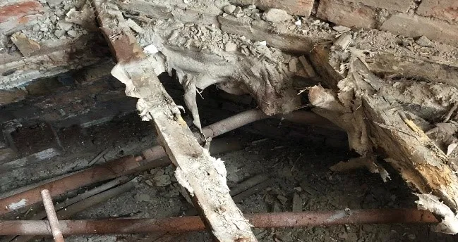 Dry Rot Caused Huge Damage in this House - Premier 1st For Property Care